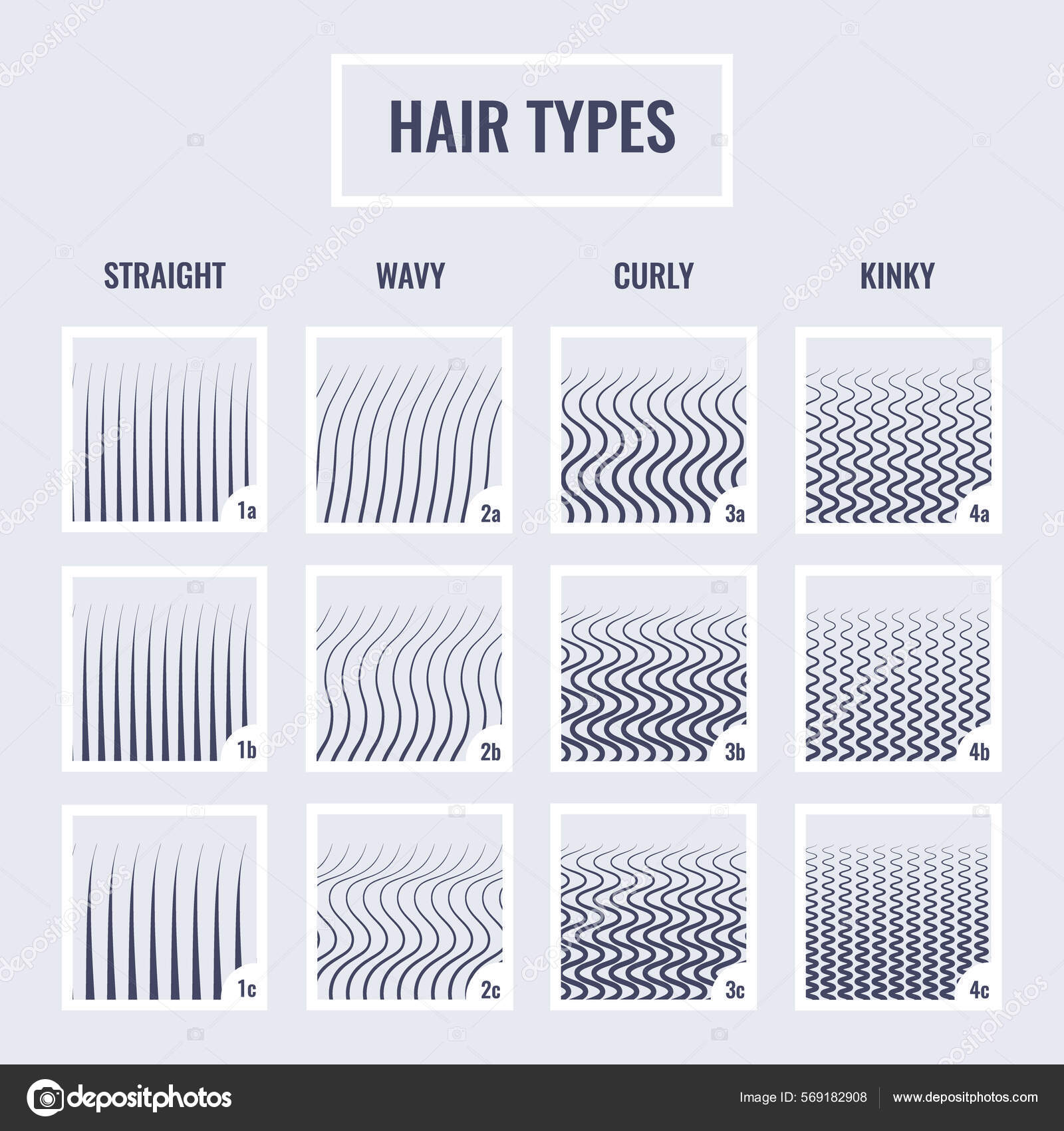 Straight Wavy Curly Kinky Hair Types Classification System Set Detailed