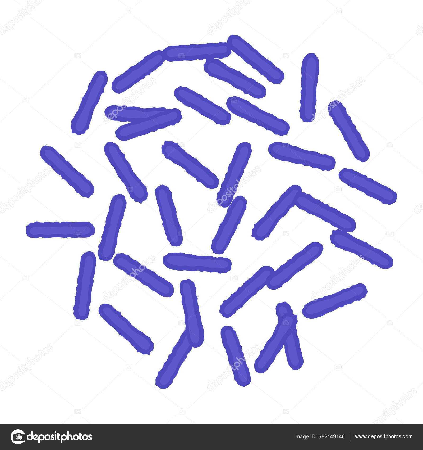 Bacilos Forma Varilla Bajo Microscopio Investigación Médica Microbios ...