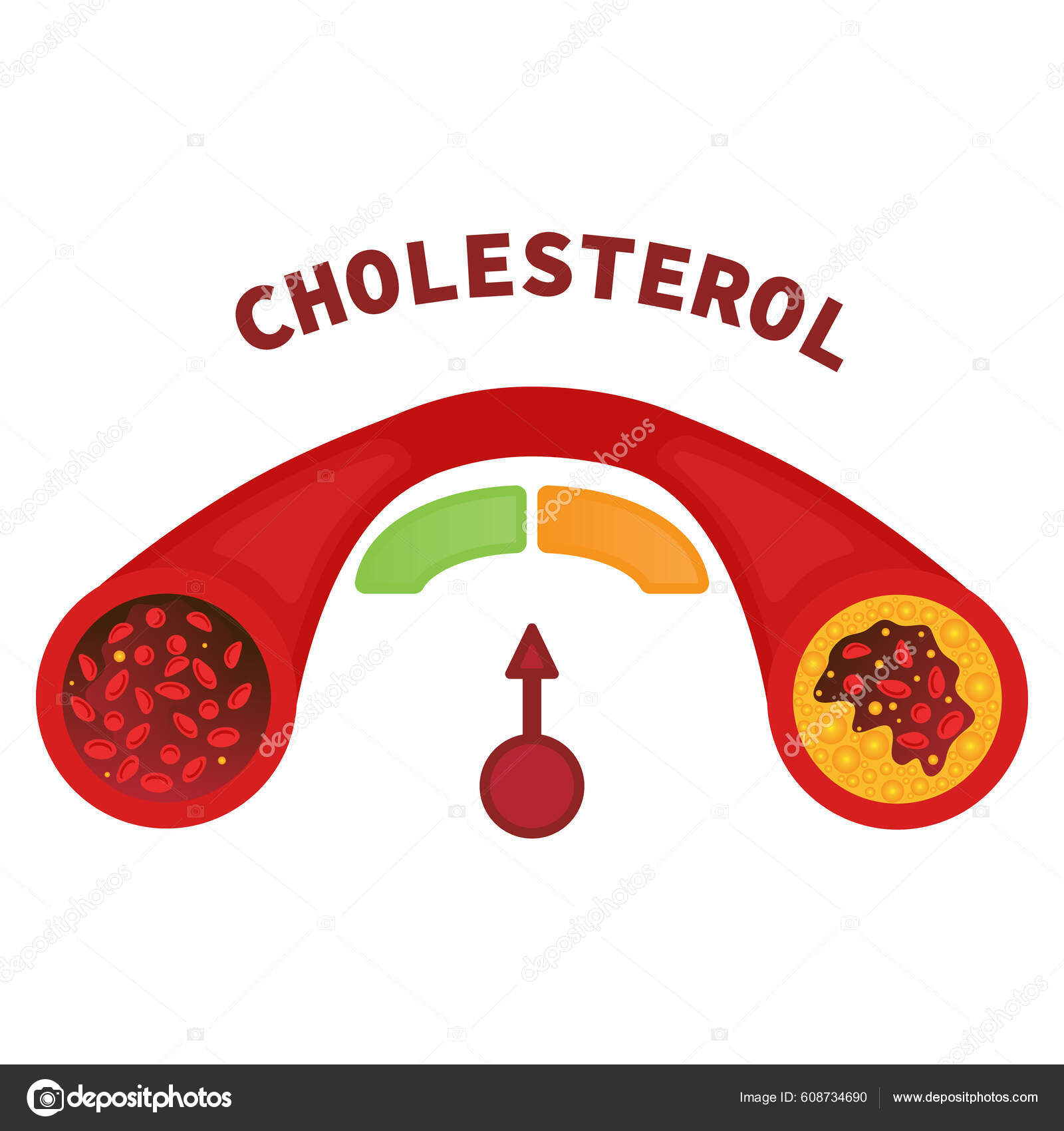 Cholesterol Clip Art