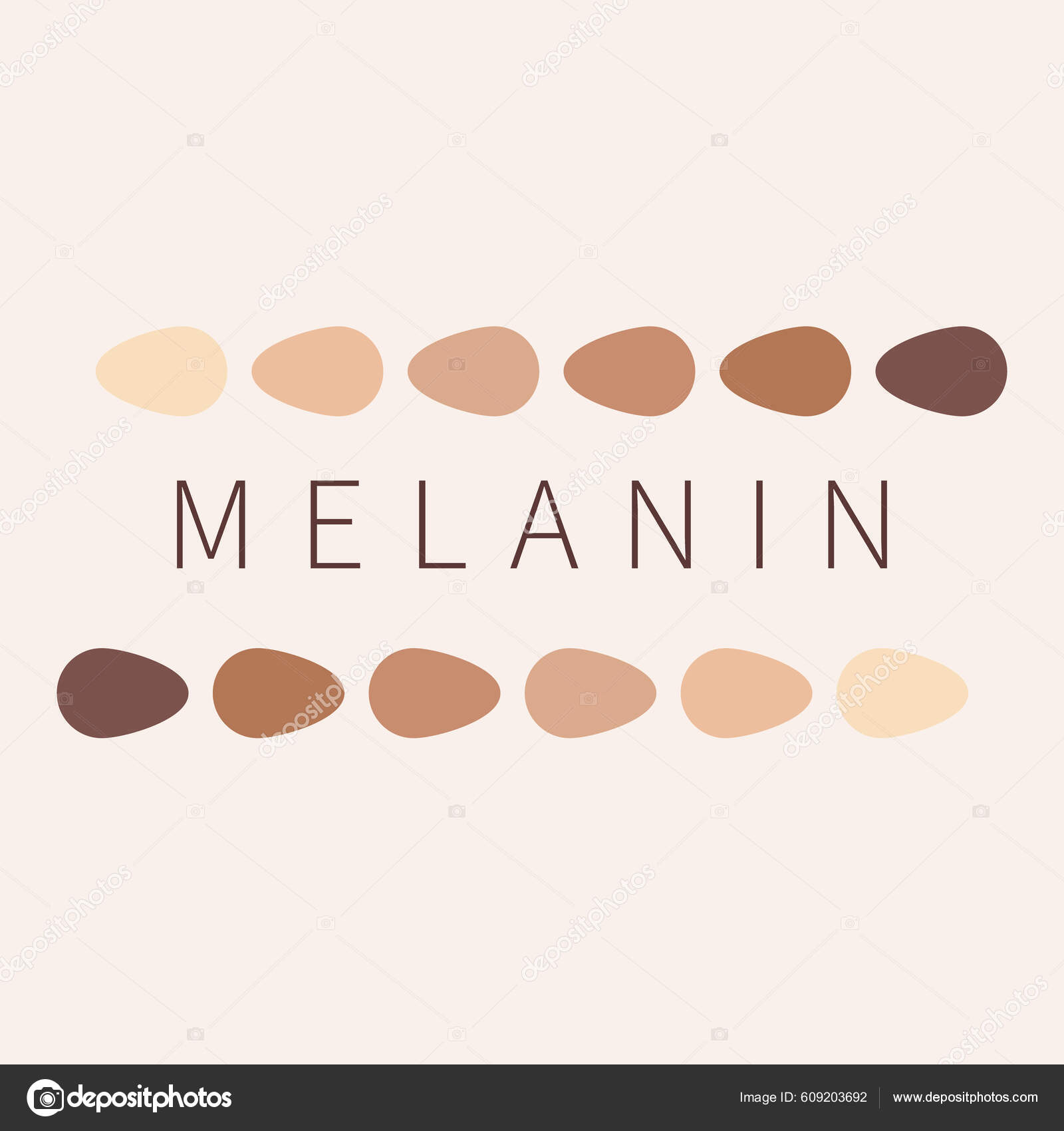 Melanin Color Palette Scheme Light Dark Brown Skin Tanning Process ...
