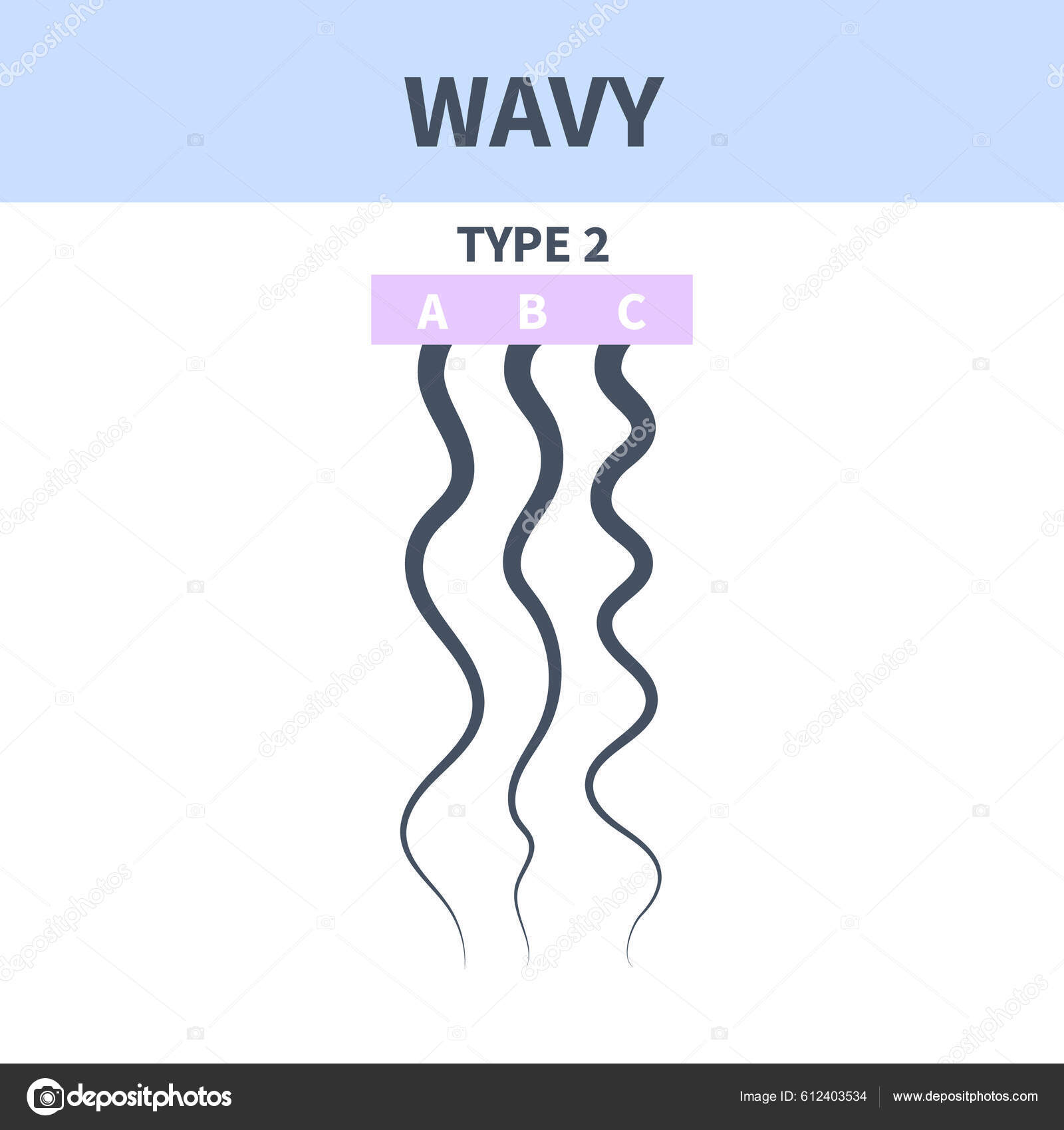 Wavy Hair Type Classification System Set Detailed Human Hair Growth ...
