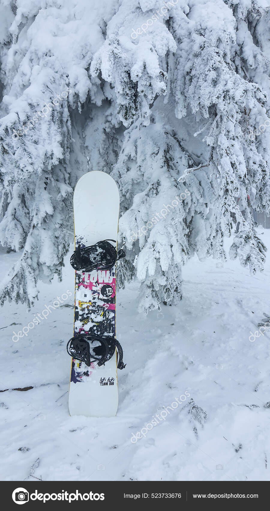 Snowboard Snow Pine Trees Blizzard Powder Day — Stock Editorial Photo ...