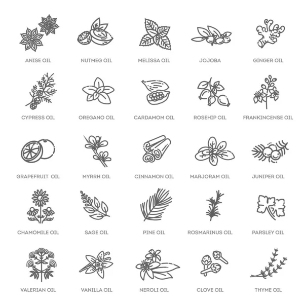 Natural ingredients Vector Art Stock Images | Depositphotos