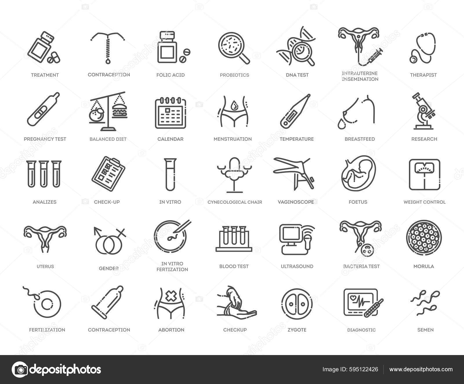 Obstetrics Pregnancy Vector Line Icons Research Vitro Fertilization ...