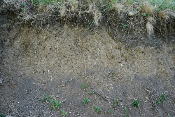 Cut soil layer Stock Photos, Royalty Free Cut soil layer Images ...