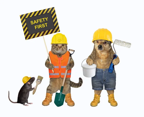 Fotos de Animal safety, Imagens de Animal safety sem royalties ...