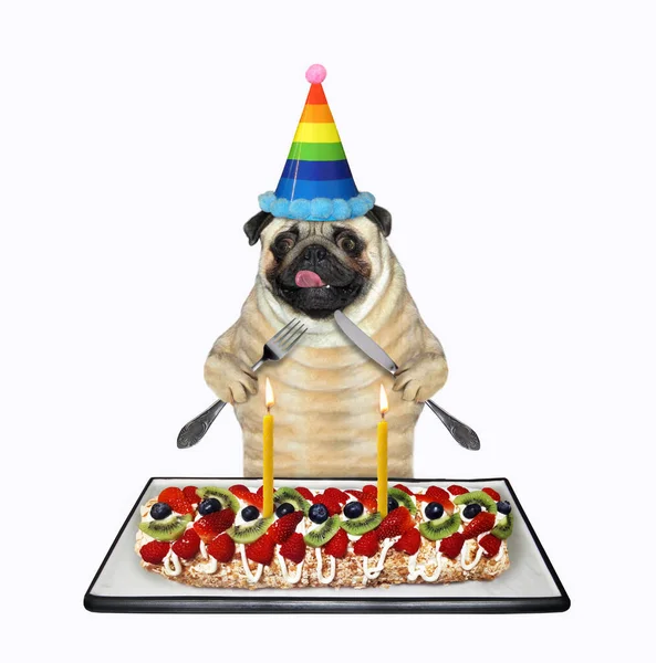 Pug feliz cumpleaños imágenes de stock de arte vectorial | Depositphotos