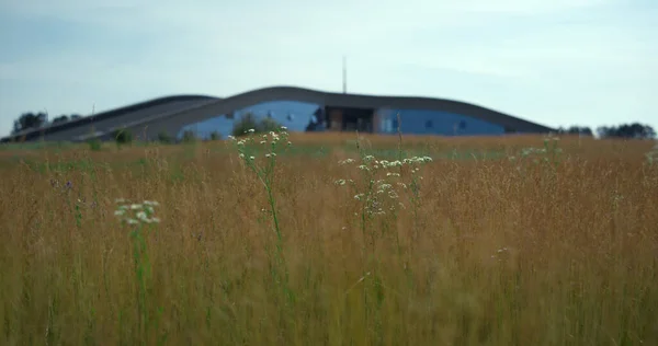 Modern golf country club building at summer countryside. Golden lush ...