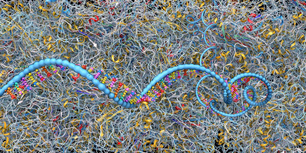 Ribosoma como parte de una célula biológica que construye una molécula ...
