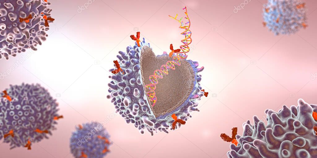 Célula inmune del receptor de antígeno quimérico de ingeniería genética ...