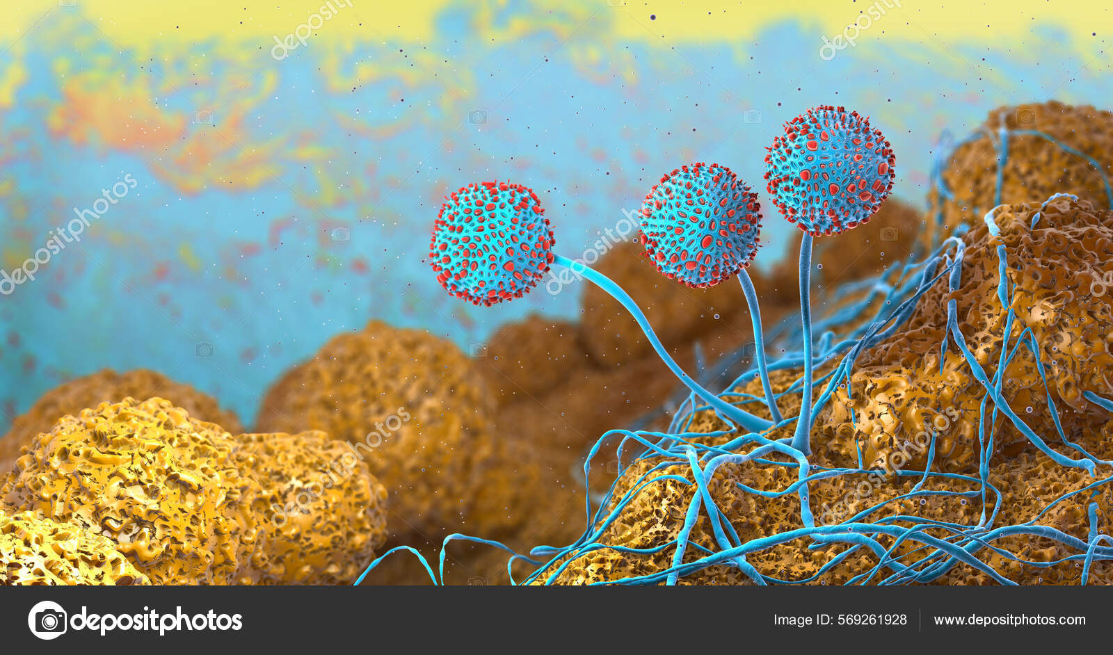 Microscopic Closeup Growing Mildew Illustration Stock Photo by ...