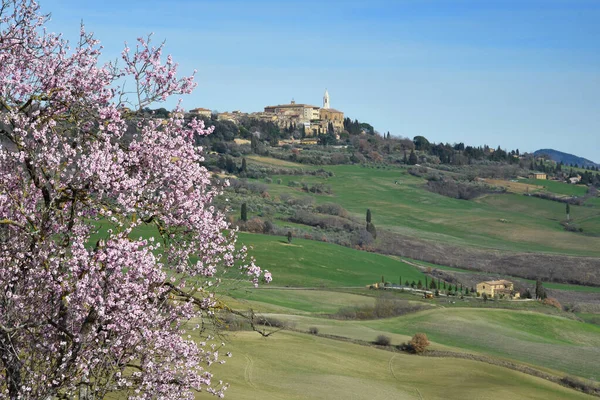 Primavera na toscana fotos de stock, imágenes de Primavera na toscana ...