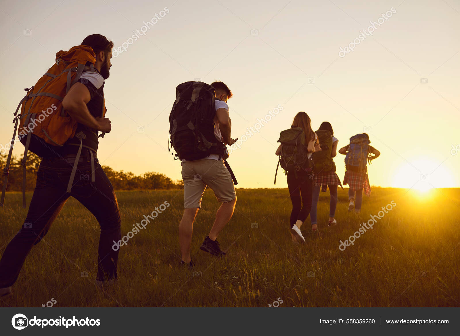 Group of tourists hikers hiking with backpacks in green summer field at ...