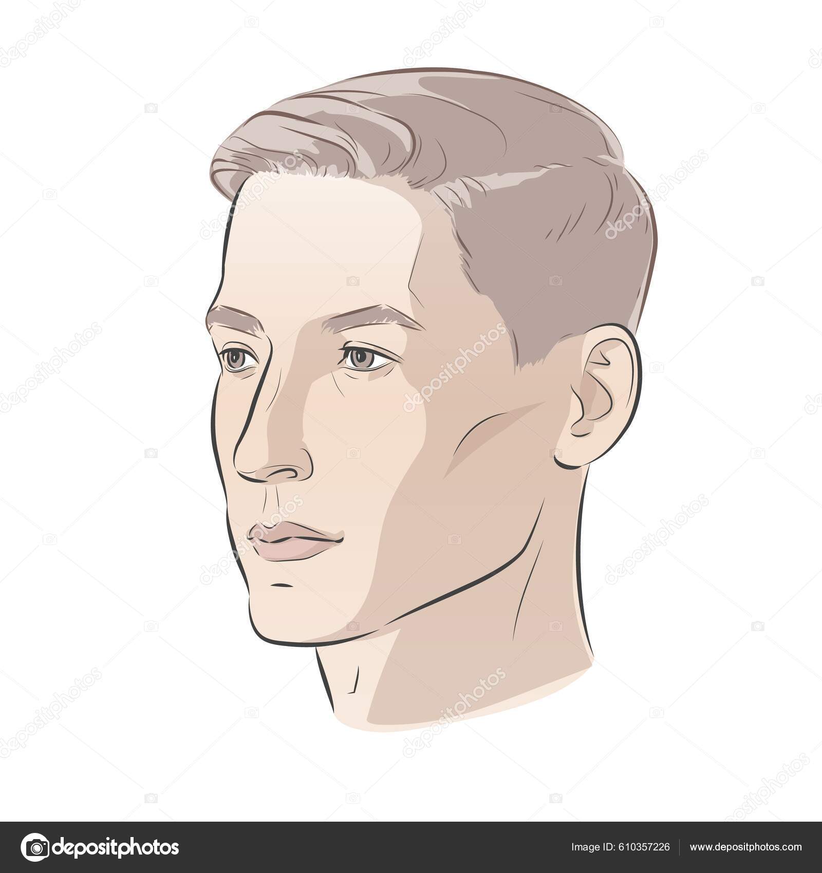 Man Face Vector Male Portrait Young Beautiful Boy Trendy Hairdo Stock ...
