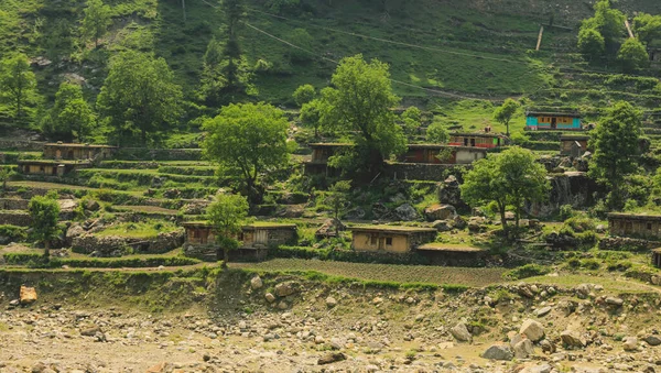 Traditional Houses Green Forest Rocks Pakistani Mountains Gilgit ...