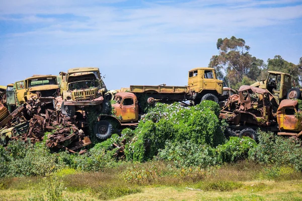 Abandoned Army Tanks Tank Graveyard Asmara Eritrea Stock Photo by ...