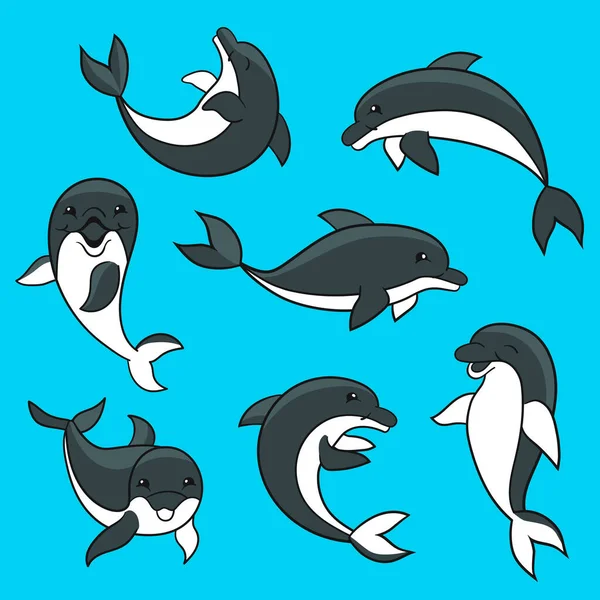 Dolphin Life Cycle Diagram For Kids