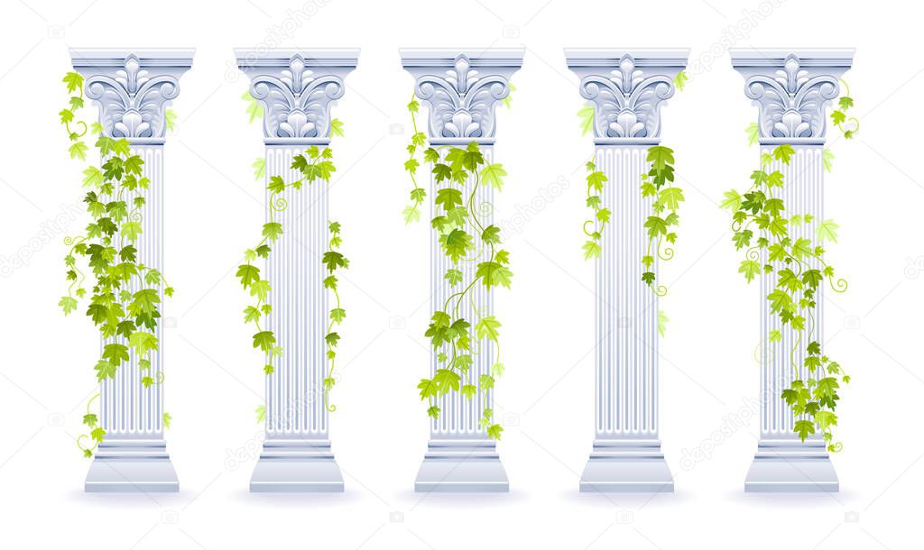 Columna de hiedra vectorial. Pilar de arquitectura de mármol griego con ...