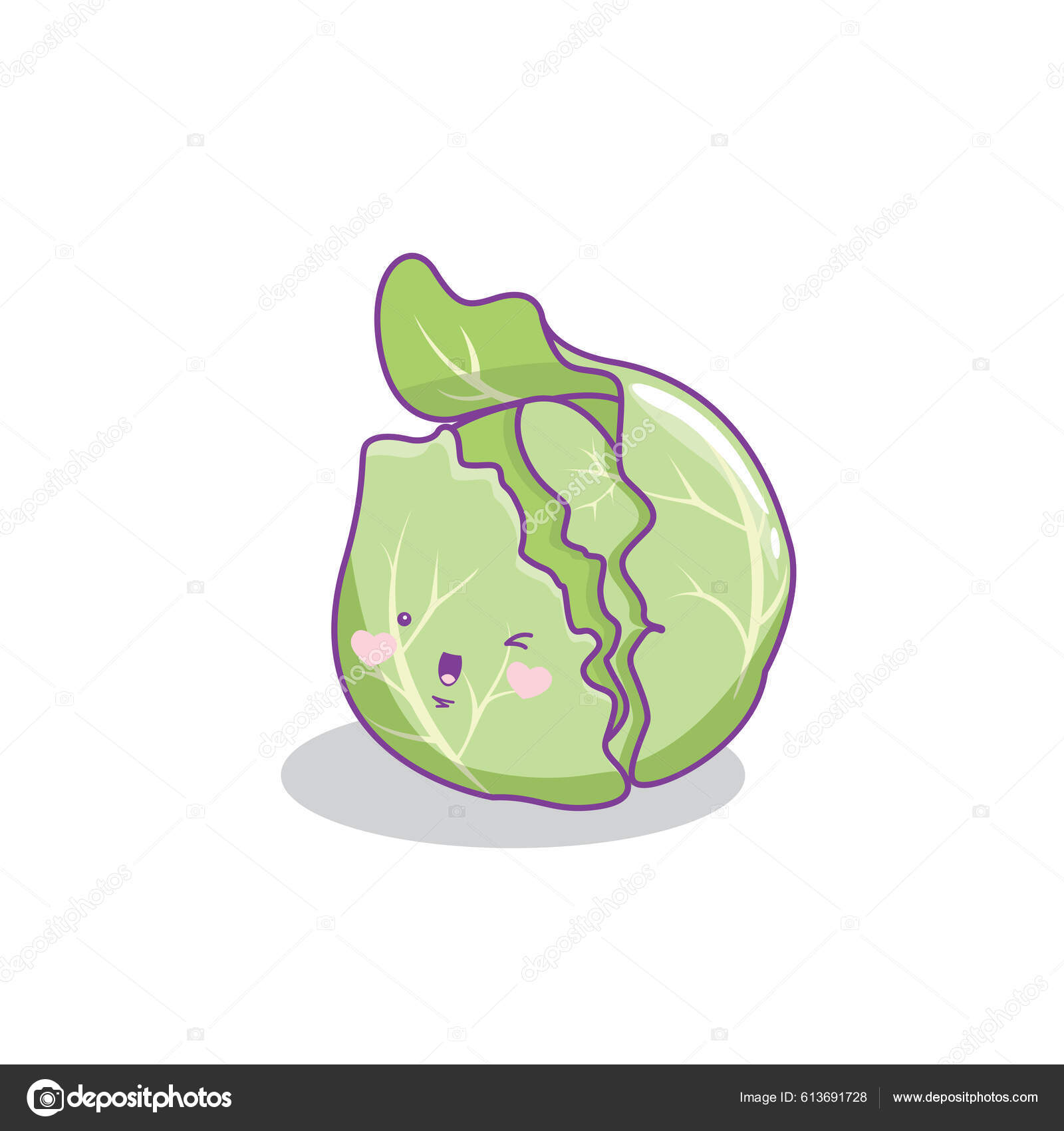 Cute Funny Cabbage Vegetable Cartoon Kawaii Style Cabbage Vegetable ...