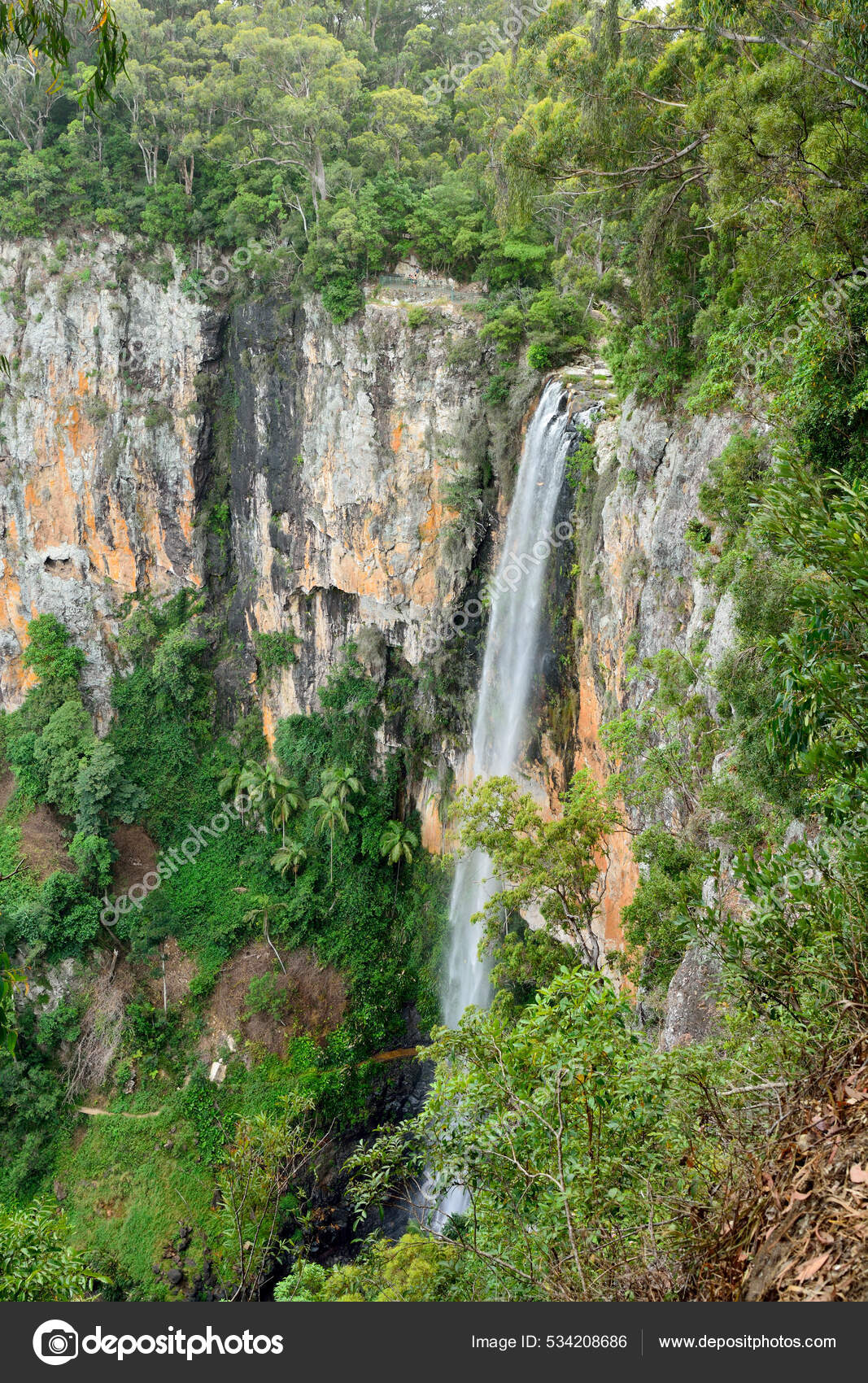 Purling Brook Falls Springbrook National Park Queensland Australia ...