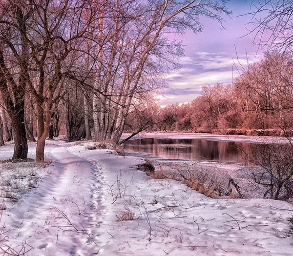 Pink winter scene Stock Photos, Royalty Free Pink winter scene Images ...