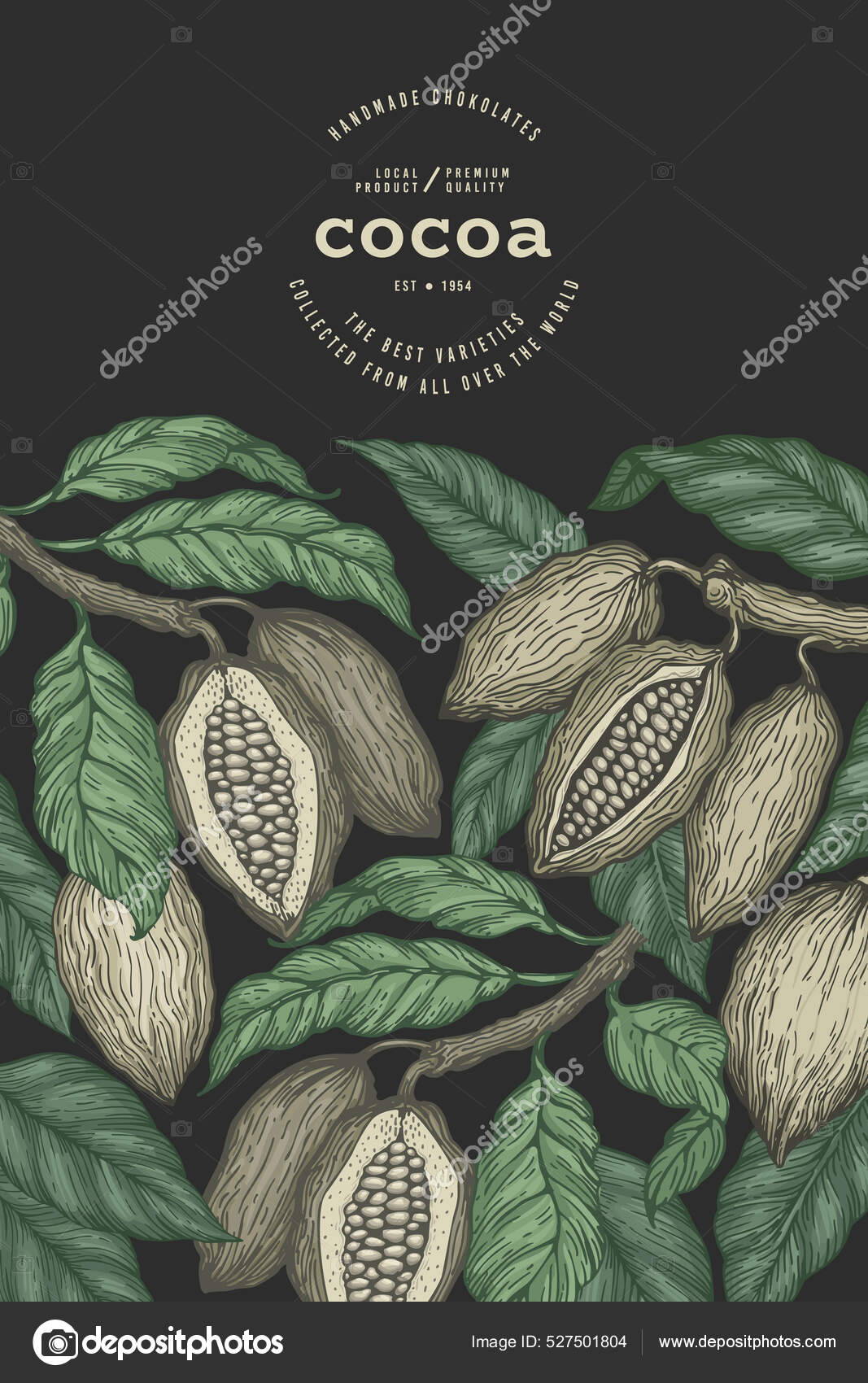 Cocoa Color Banner Template Chocolate Retro Cocoa Beans Background ...