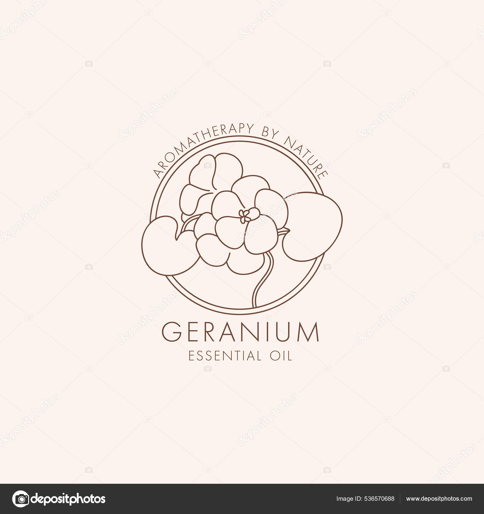Vector linear botanical icon and symbol - geranium. Design logo for ...