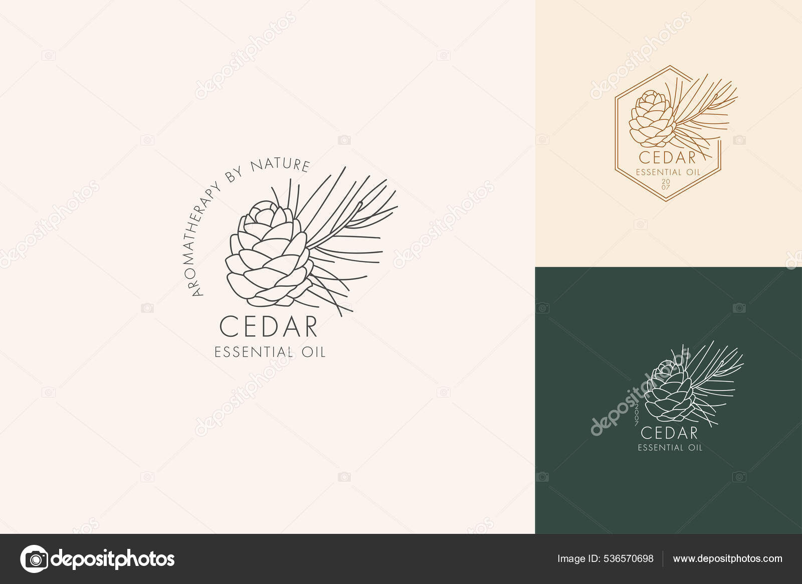 Ensemble vectoriel linéaire d'icônes et de symboles botaniques - cèdre ...