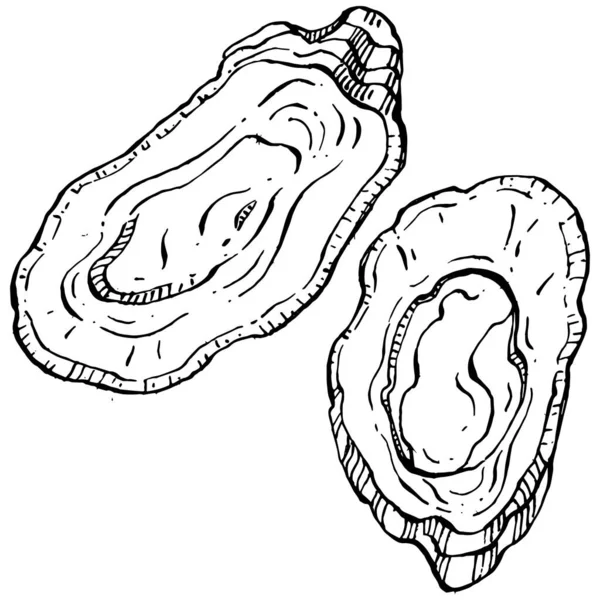 Oyster Shell Outline