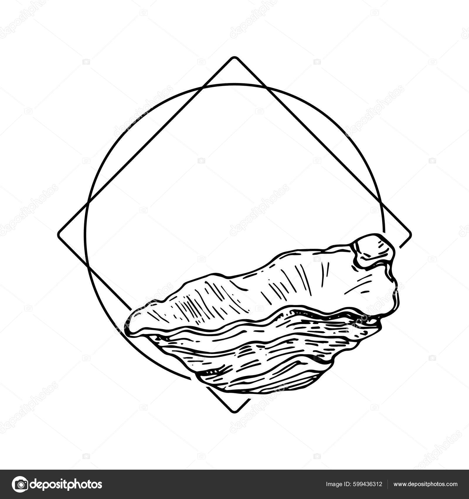 Hand Drawn Sea Shell Logo Frame Border Promo Element Brand Stock Vector ...