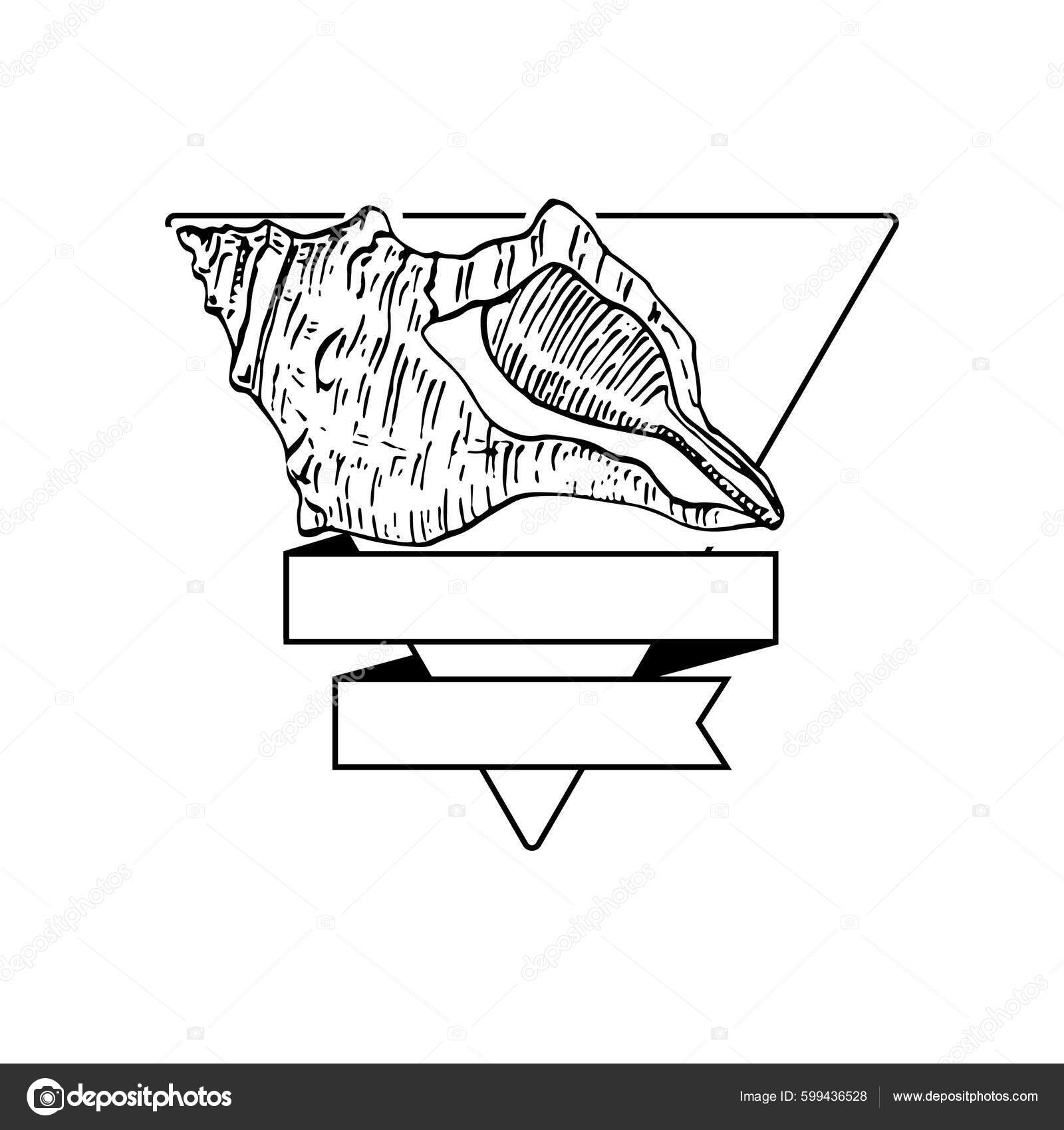 Hand Drawn Sea Shell Logo Frame Border Promo Element Brand Stock Vector ...