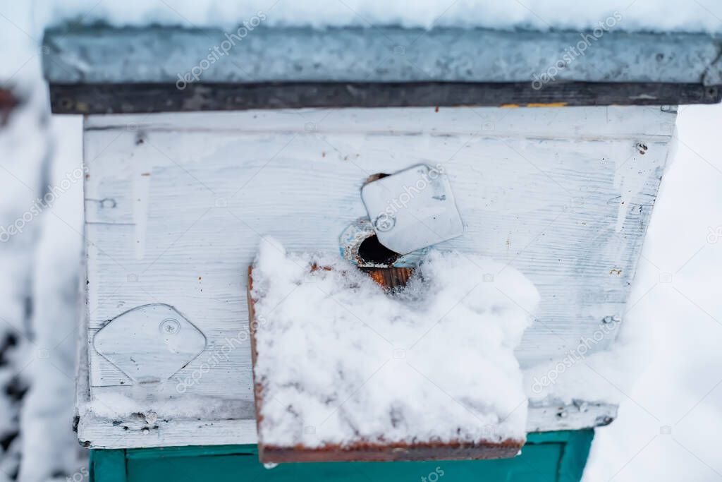 Apiario en la nieve. Colmenas cubiertas de nieve después de una nevada ...