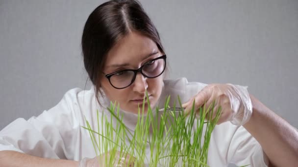 9,886 Groen laboratorium Videos, Royalty-free Stock Groen laboratorium ...