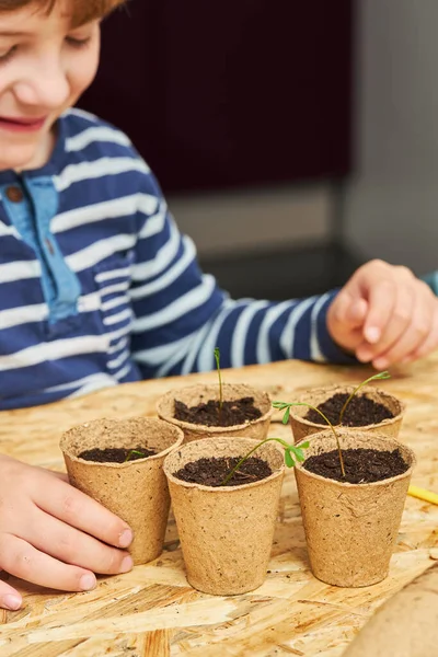 Kids planting seeds Stock Photos, Royalty Free Kids planting seeds ...