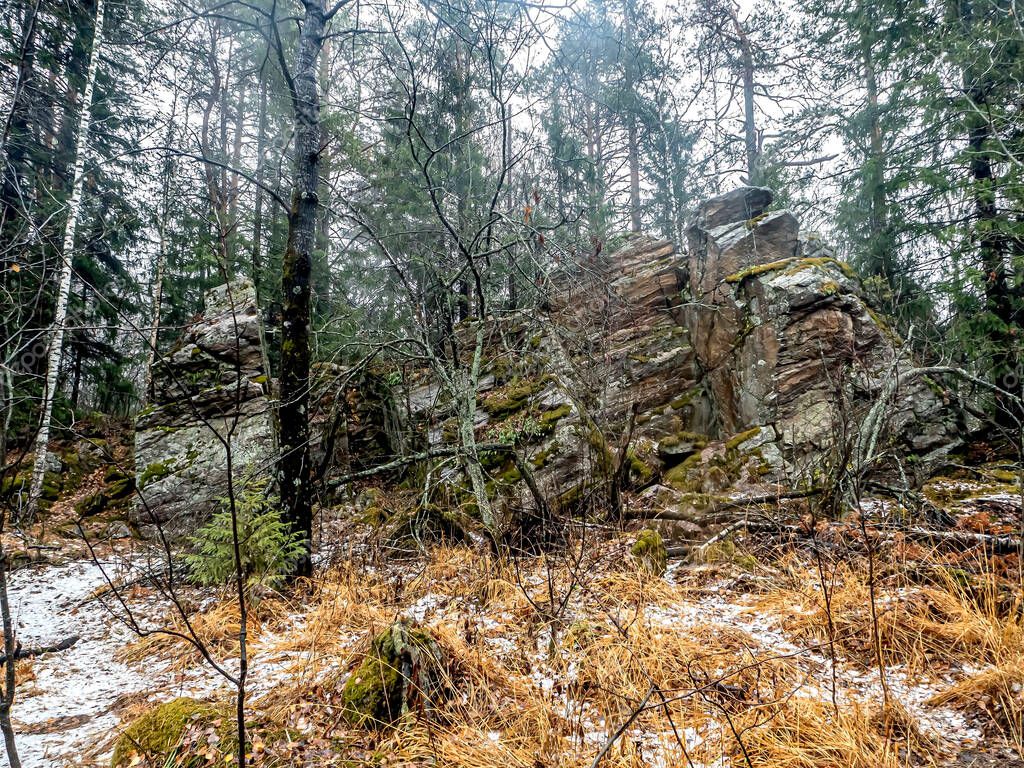 árboles crecen en las grietas de rocas en las montañas, Parque Nacional ...