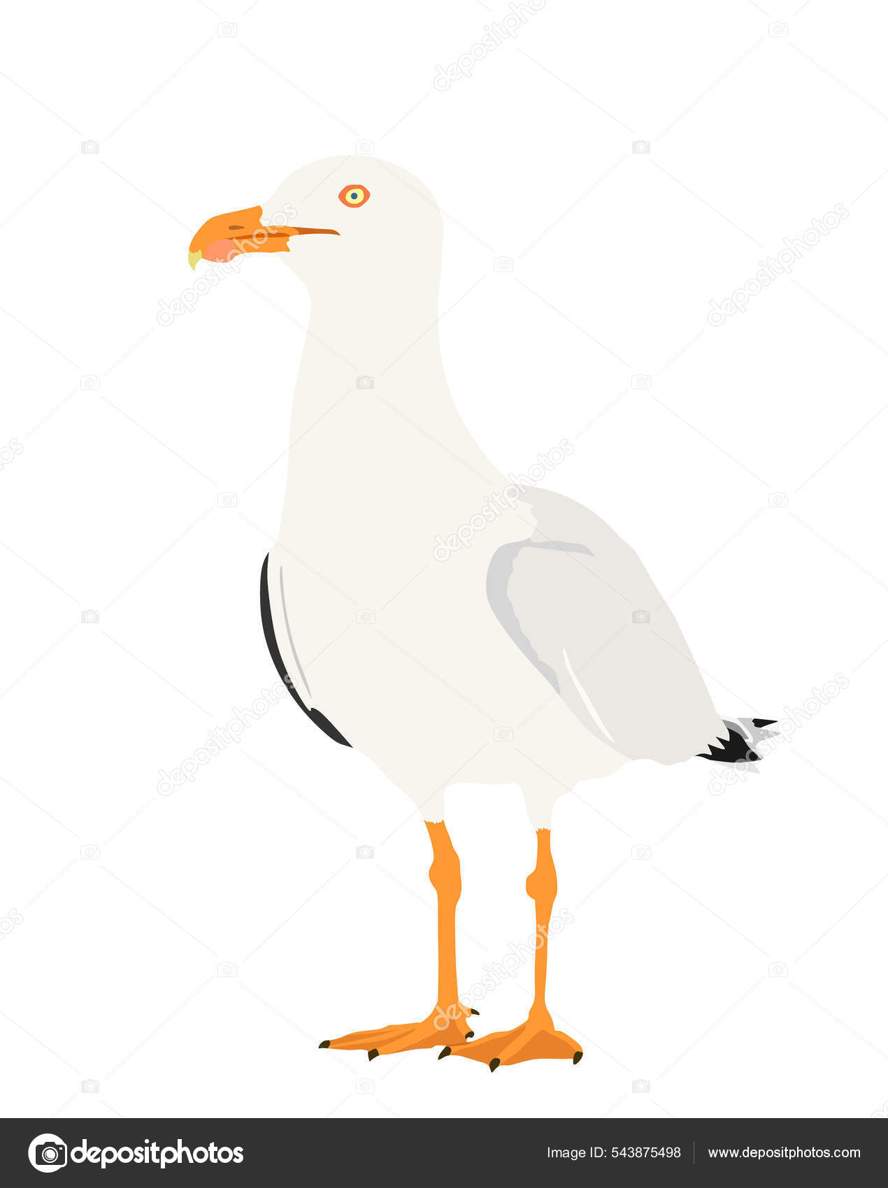 Meeuw Silhouet Wit Accordion Shape Black And White Stock Photos