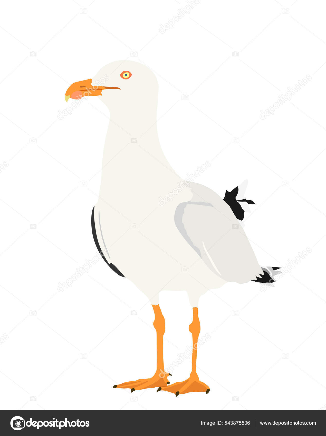 Seagull Standing Vector Silhouette Illustration Isolated White ...