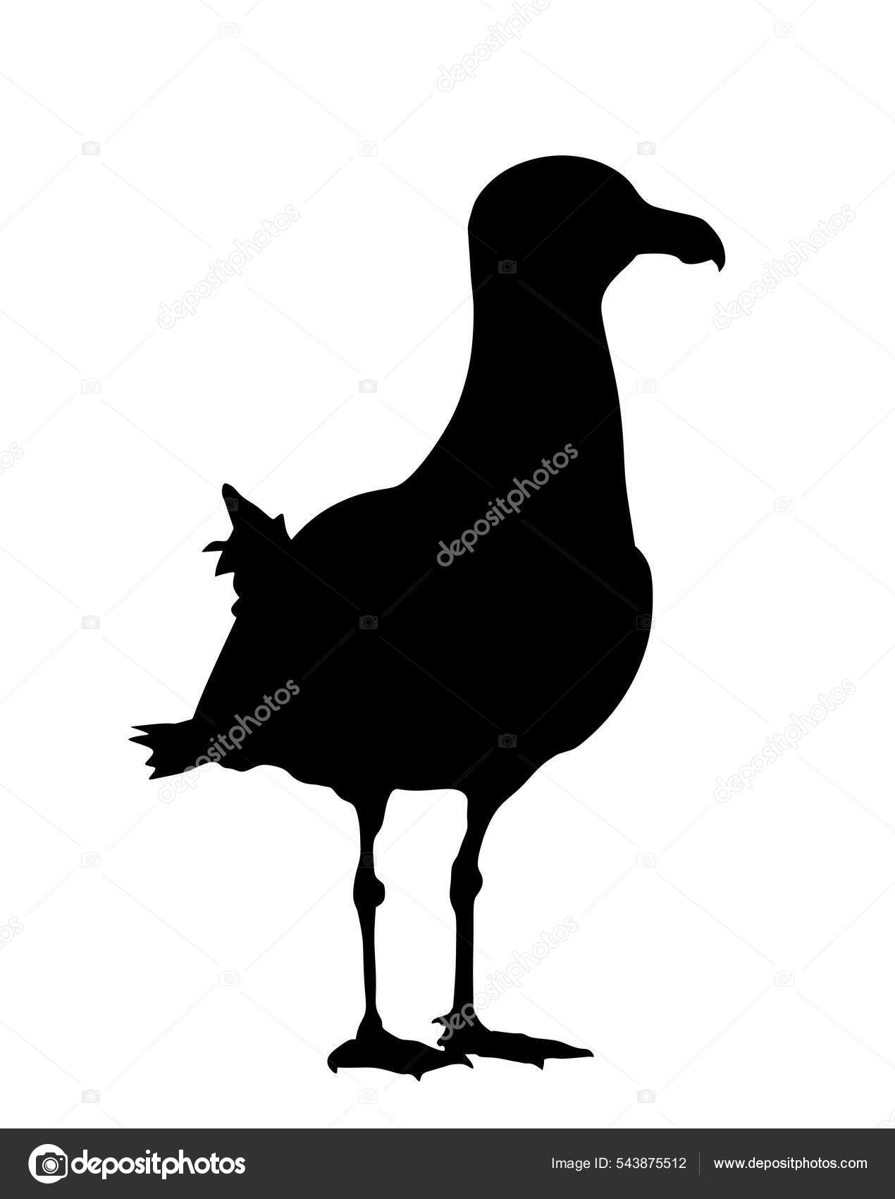 Gaviota Pie Vector Silueta Ilustración Aislada Sobre Fondo Blanco Mar ...