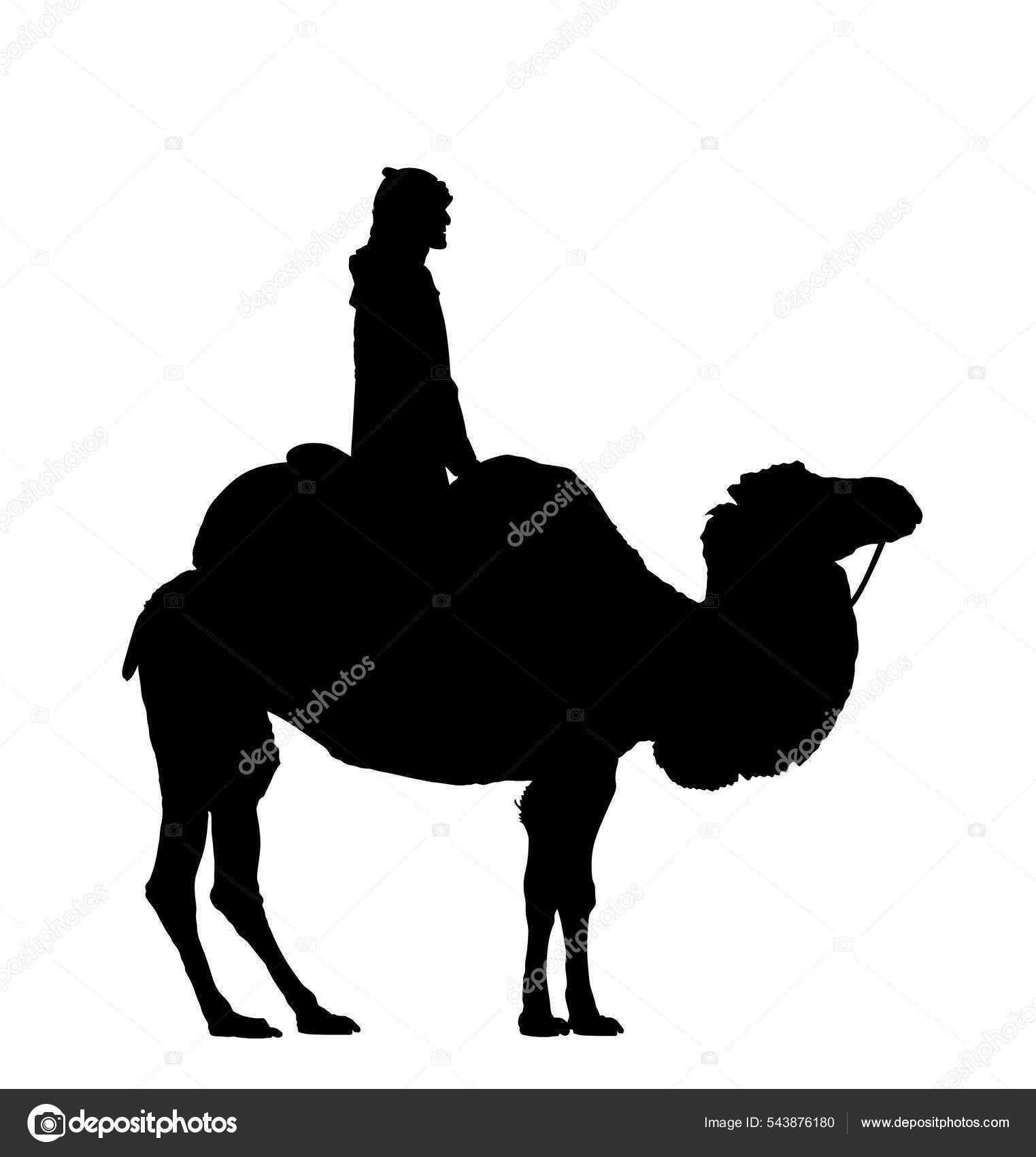 Arabian Man Sheikh Riding Camel Vector Silhouette Illustration Isolated ...