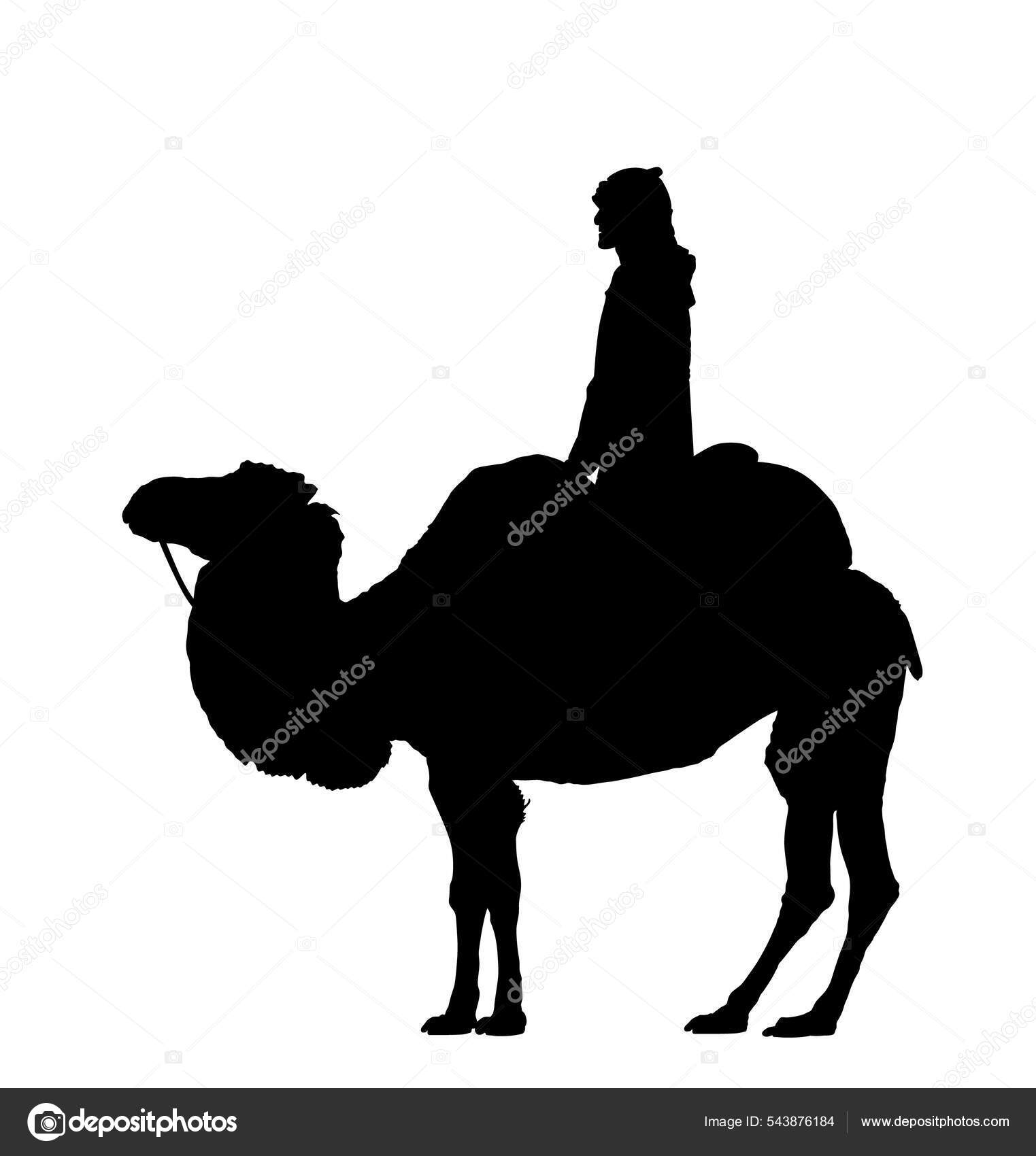 Arabian Man Sheikh Riding Camel Vector Silhouette Illustration Isolated ...