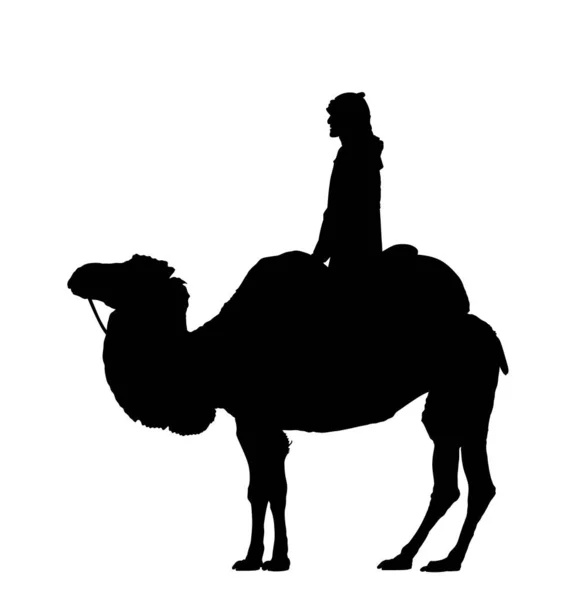 Free camel silhouette Vector Art Stock Images | Depositphotos