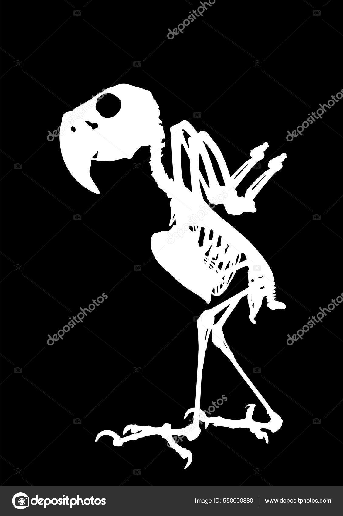Palm Cockatoo Parrot Skeleton Vector Silhouette Illustration Isolated ...