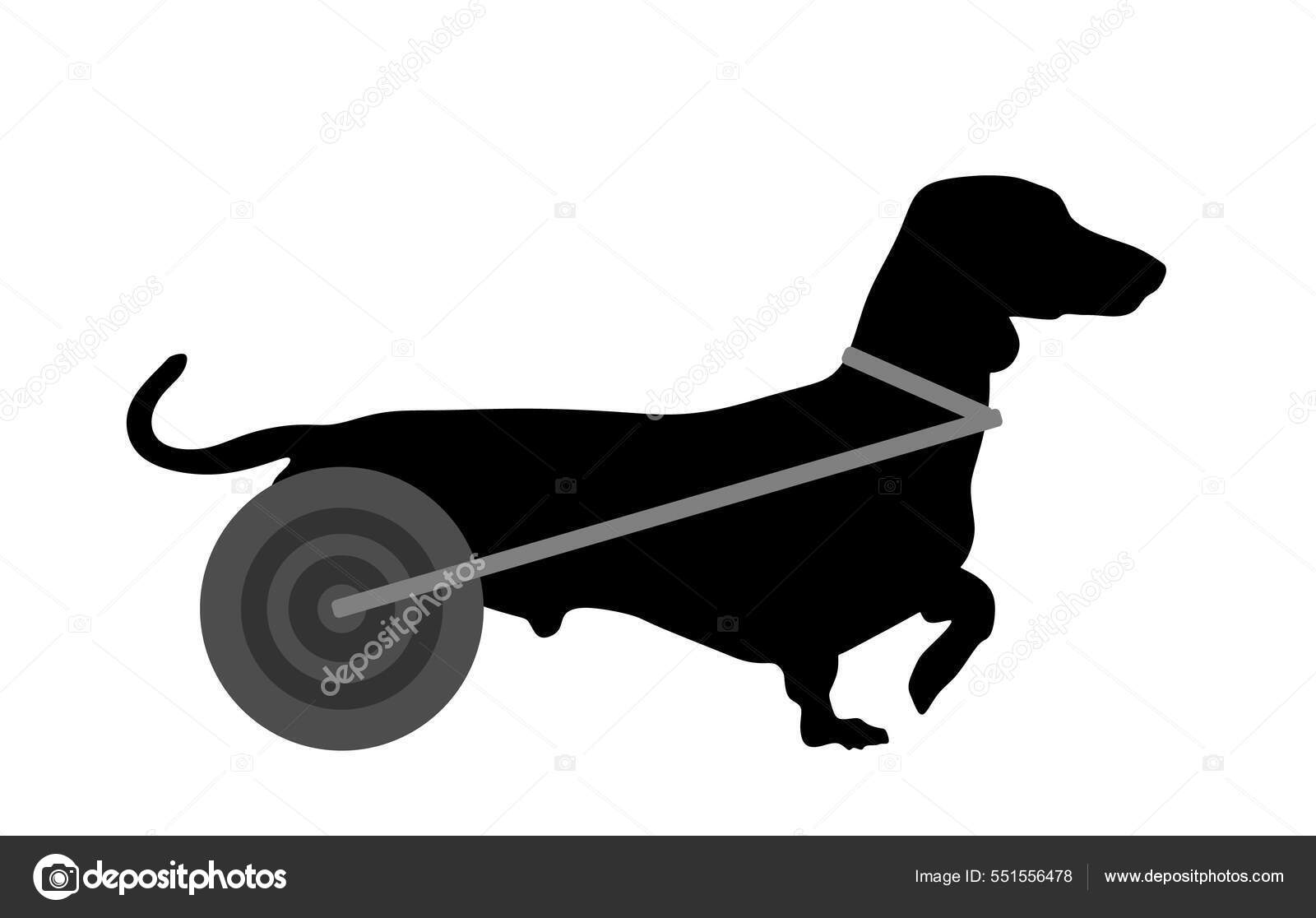 Disabled Dog Dachshund Wheels Vector Silhouette Illustration Isolated ...