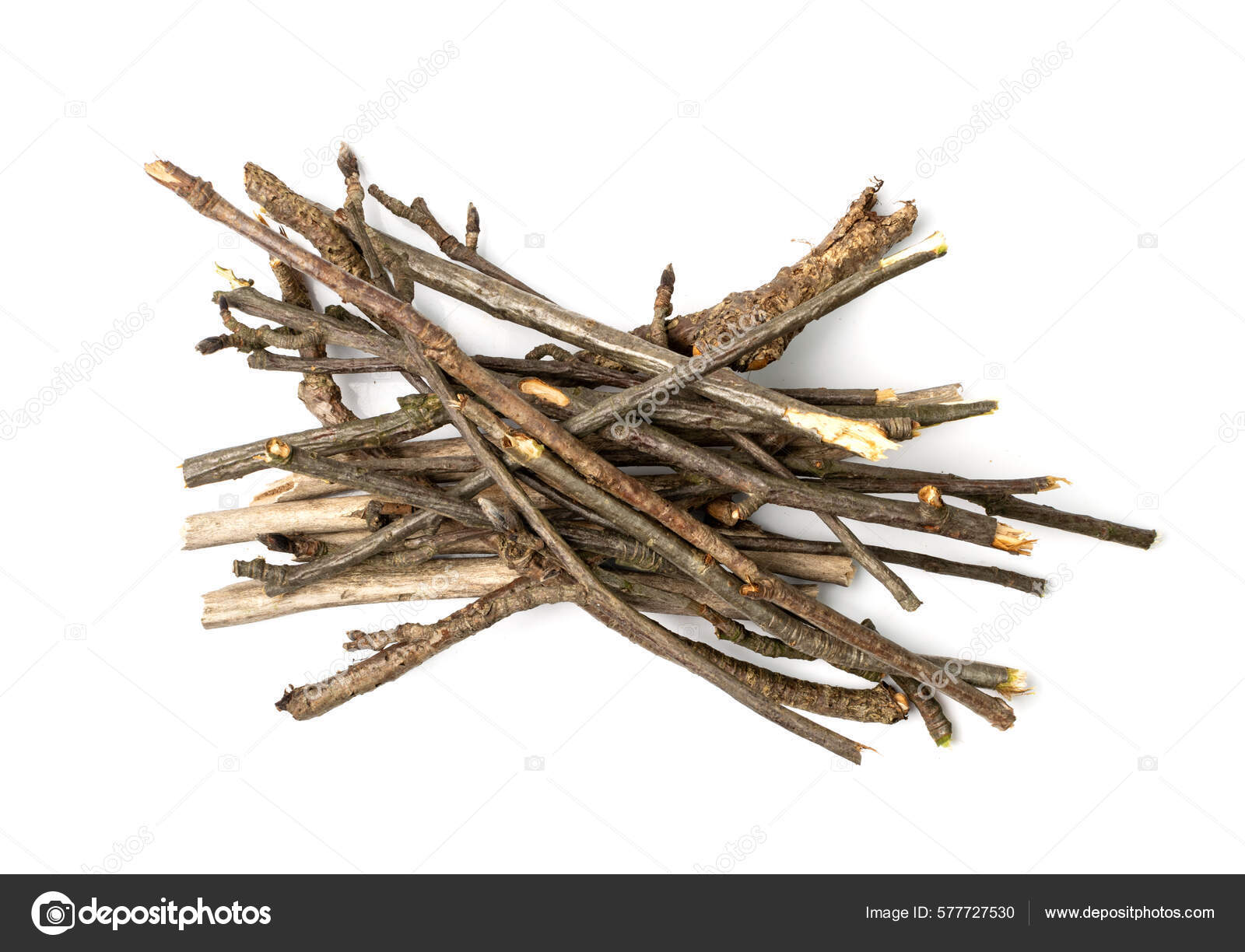 Branches Pile Isolated Dry Twigs Pile Ready Campfire Sticks Boughs ...