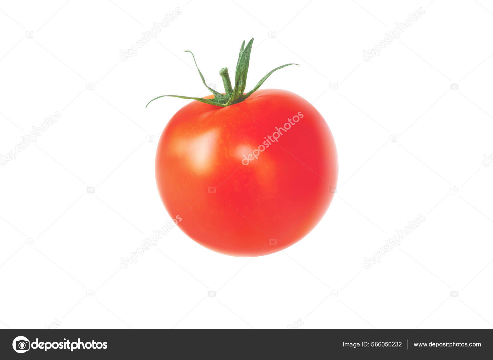 Red Tomato Vegetable Isolated White Solanum Lycopersicum Ripe Fruit ...