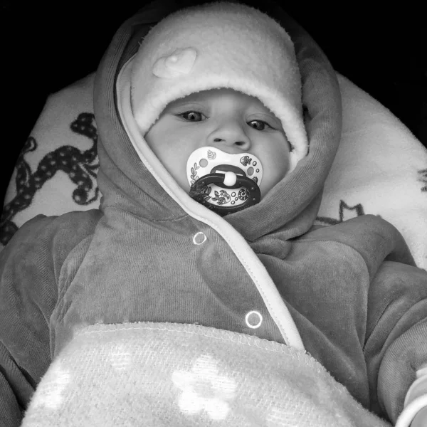 Baby jax1 Fotos de Stock, Baby jax1 Imagens sem royalties | Depositphotos