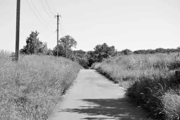 La strada ombrosa fotos de stock, imágenes de La strada ombrosa sin ...