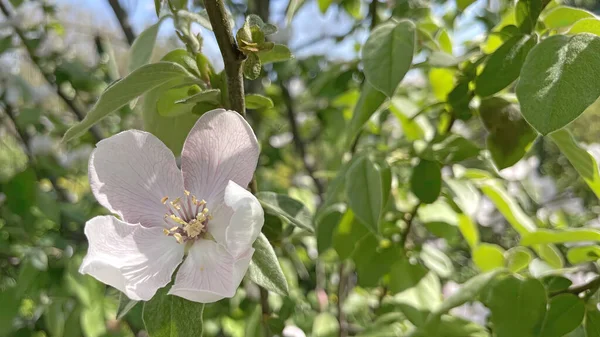 The arrival of spring and the awakening of nature. Spectacular views ...