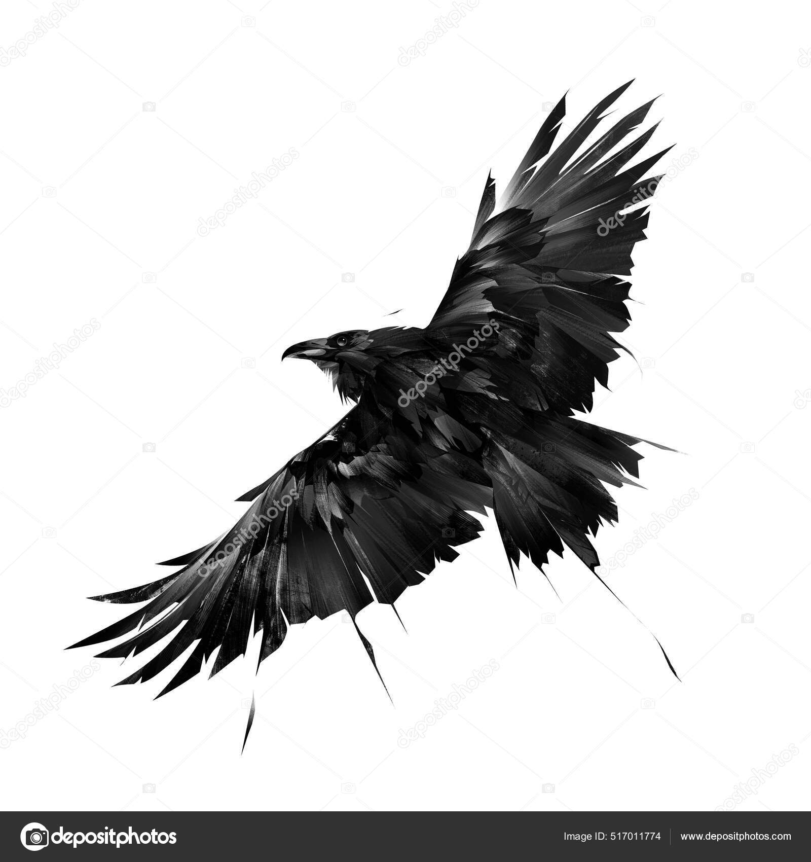 Drawn graphic raven bird in flight on a white background — Stock Photo ...