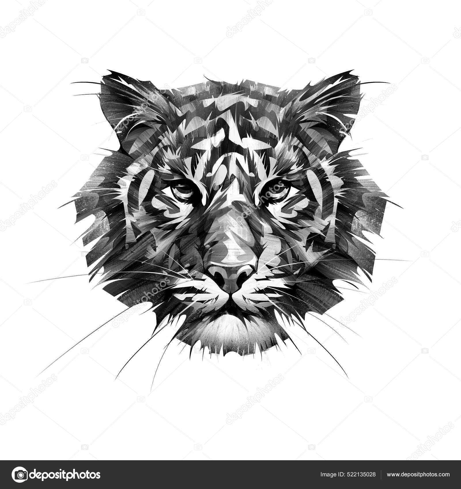Sketch Portrait Tiger White Background Stock Photo by ©khius 522135028